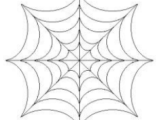 Python Turtle How To Draw Spider Net Stack Overflow