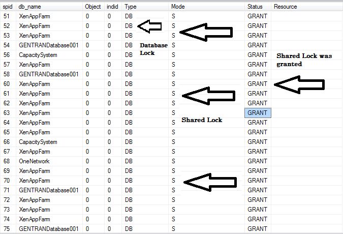 Sql Server 2000 Performance Deadlock Database Administrators - Best Landscape Arts in 8K