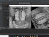 Python 2d Rotation Of Image Stack Overflow