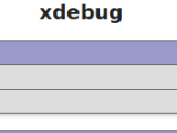 Ubuntu Xdebug Cannot Accept External Xdebug Connection Cannot
