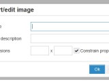 Javascript Tinymce Insert Edit Image Stack Overflow