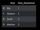 Python Ordinal Encoding In Pandas Stack Overflow