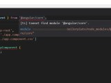 Visual Studio Code Vscode Cannot Find Module Angular Core Or Any