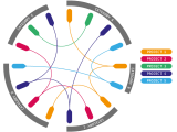 Data Visualization How To Create Non Hierarchical Relationship