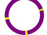 React Native Segmented Circular Progress Bar Stack Overflow