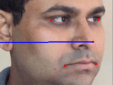 Head Pose Estimation Fails With Specific Image Sizes Opencv Q A Forum
