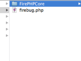 How To Use Wp Firephp Extension