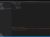 C Using Scanf In Vs Code With The Code Runner Extension Stack Overflow