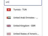 Javascript Angular Country Dropdown With Flags Stack Overflow