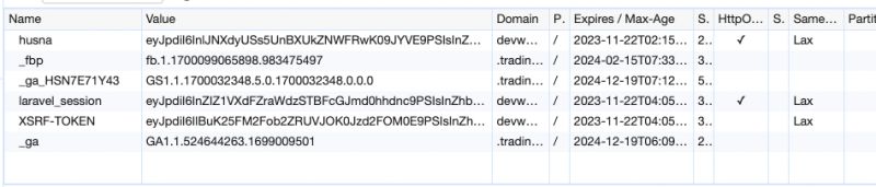 Php Cookie In Laravel Stack Overflow - Retina City Designs for Desktop