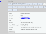 Javascript How To Get Session Cookie Stack Overflow