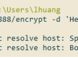 Custom Encryption Decryption For Spring Cloud Config Server Stack