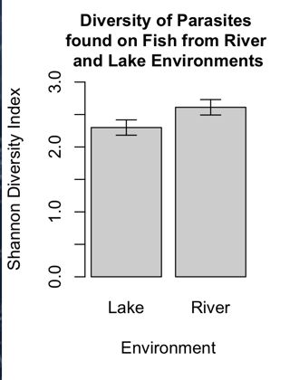 R Using Ggplot To Add Error Bars To Barplot Stack Overflow - Download High Quality Sunset Picture | 4K