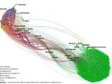 Python How To Create Network Graph From Dataframe Stack Overflow