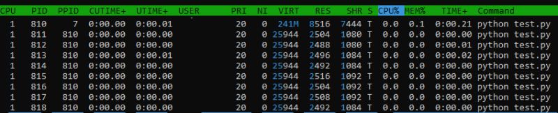 Python Multiprocessing Not Using All Cores Stack Overflow - Amazing Light Photo - Desktop