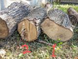 How To Identify Trees For Firewood At Kayla Chirnside Blog