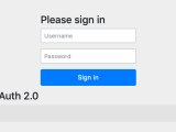 Spring Any Worked Example How To Set Up An Oauth2 Authorization