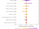 Python Shap Summary Plot And Mean Values Displaying Together Stack