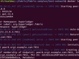 Hyperledger Fabric Successfully Opened Test Network But Deploying