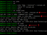 Linux Bash Php Comand Not Found When Called From A Script Run With