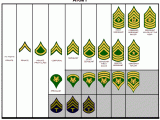 Gamification Alternative Reward Levels To Gold Silver Bronze