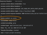 Caching Cloudfront Ignores Cache Control No Cache Response Header