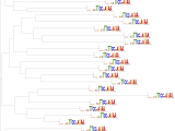 Python Biopython Phylogenetic Tree Replace Branch Tip Labels By