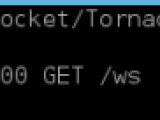 Can T Connect To Tornado Websocket From Web Application Error 403
