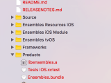Ios Unable To Archive Xcode Project No Such File Or Directory