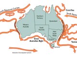 How Far Does Marlin Travel To Find Nemo Movies Tv Stack Exchange