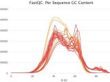 Rna Seq Strange Per Sequence Gc Content Results Bioinformatics