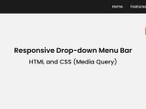 Javascript Dropdown Menu Box Size Stack Overflow