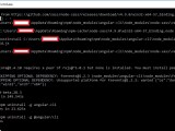Node Js Ng Not Recognized After Installing Angular Cli Stack Overflow