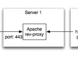 Perl Handling Authentication With Apache Reverse Proxy For Plack Psgi