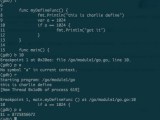 Go Golang Debug Using Gdb Stack Overflow