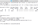 Bash Npm Command Not Found Error Message When Installing React