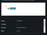 Angularjs Cookie Is Not Shown In Chrome Developer Tools Stack Overflow