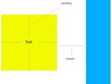 What The Difference Between Margin And Padding In Container Widget