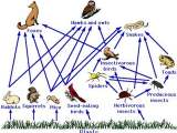Site Design For Biology Community Biology Meta Stack Exchange