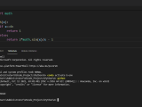 Why Is Vscode Python Terminal Misinterpreting Python Code And Executing