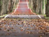Javascript Make A Full Screen Css Background Image Appear Behind A