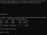 Amazon Web Services Bash Usr Local Bin Kops Cannot Execute Binary