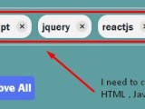 How To Copy Tags Input Text On Button Click With Jquery Stack Overflow
