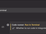 Vs Code Code Runner Output Not Working Stack Overflow