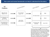 Hermeneutical Approaches Are There Any Rules On Which Things In