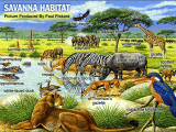 Word Choice What Do You Call This Kind Of Educational Illustration
