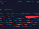Python Scapy Dns Request Stack Overflow