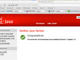 Jvm Why Does My Web Browser Version Of Java Differ From The Command
