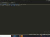 I Have Successfully Installed Code Runner Extension In My Vs Code But
