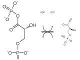 Biochemistry Why Isn T The Phosphoglycerate Kinase Reaction Of The